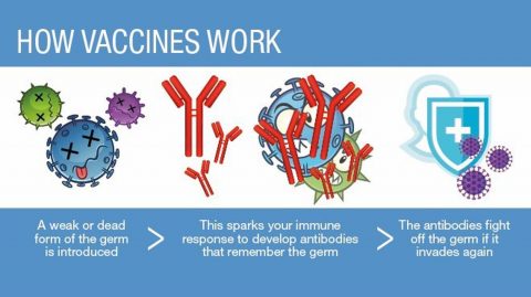 Vaccines - What they are and how they work.
