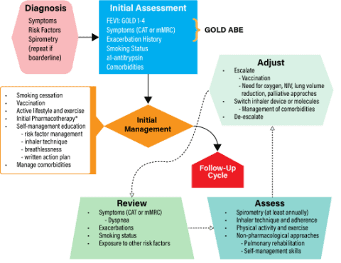 DYK? 2023 Summary of GOLD Report for COPD - HealthDirect